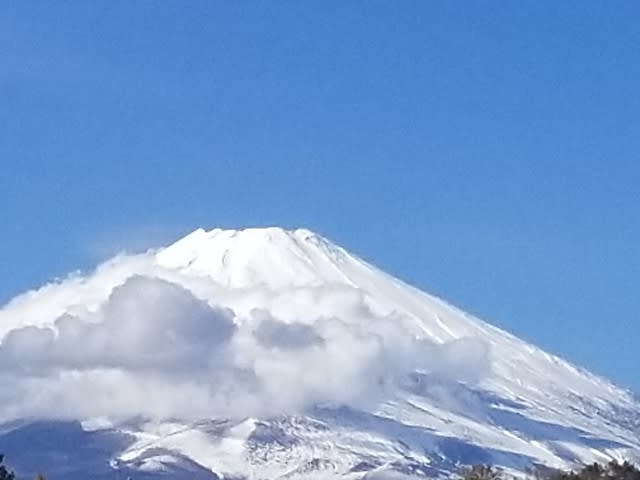 kin225 赤い蛇 / 白い風 音4 の 過ごし方 - ** Kei